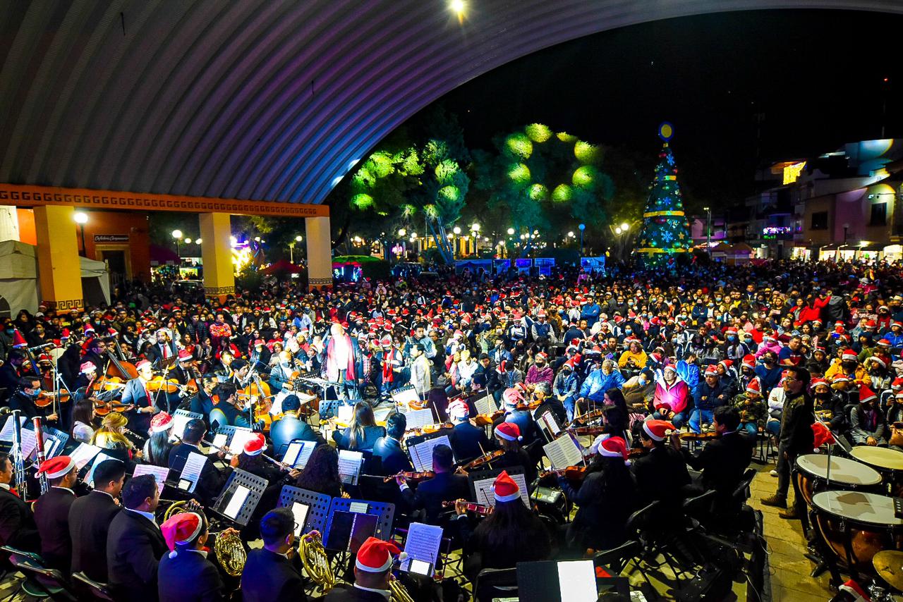 Miles de personas vivieron el encendido de luces del árbol de Navidad ...